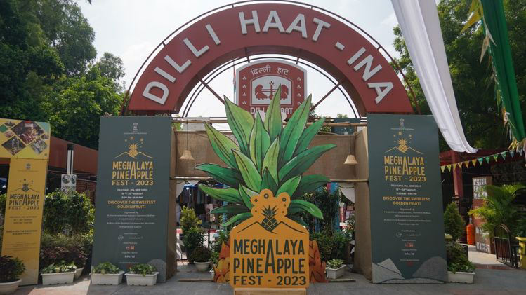 Meghalaya Pineapple Festival 2024: A feast of kew pineapples at Delhi's ... Meghalaya Pineapple Festival 2024: A feast of kew pineapples at Delhi's ...