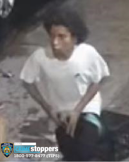 Suspect sought after 2 men wounded in Bronx double shooting Suspect sought after 2 men wounded in Bronx double shooting