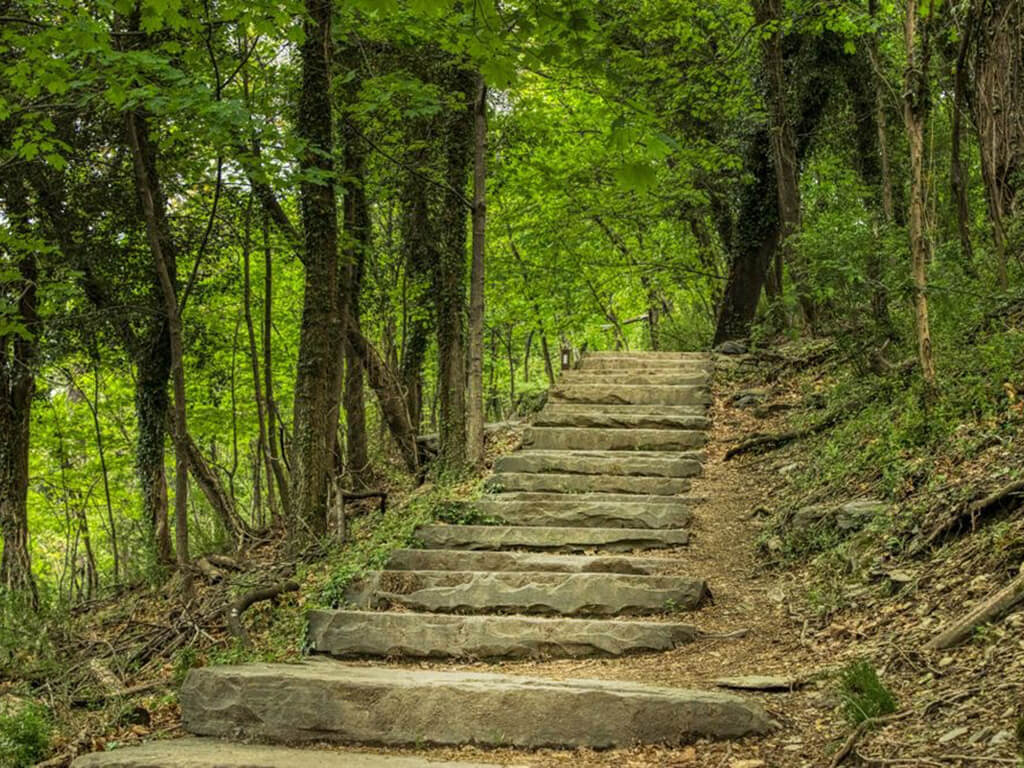 Ghosts, Legends, and Cursed Towns: The Scariest Places in Appalachia