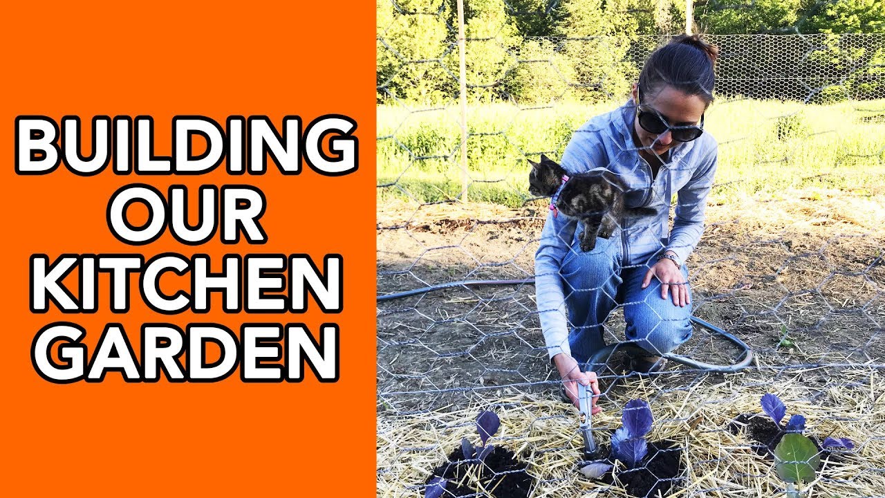 Our Homestead Kitchen Garden: Tips for Beginners