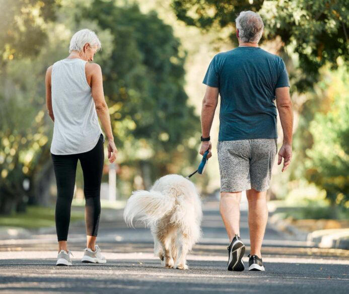 Use 15 helpful strategies to prevent dog walking injuries