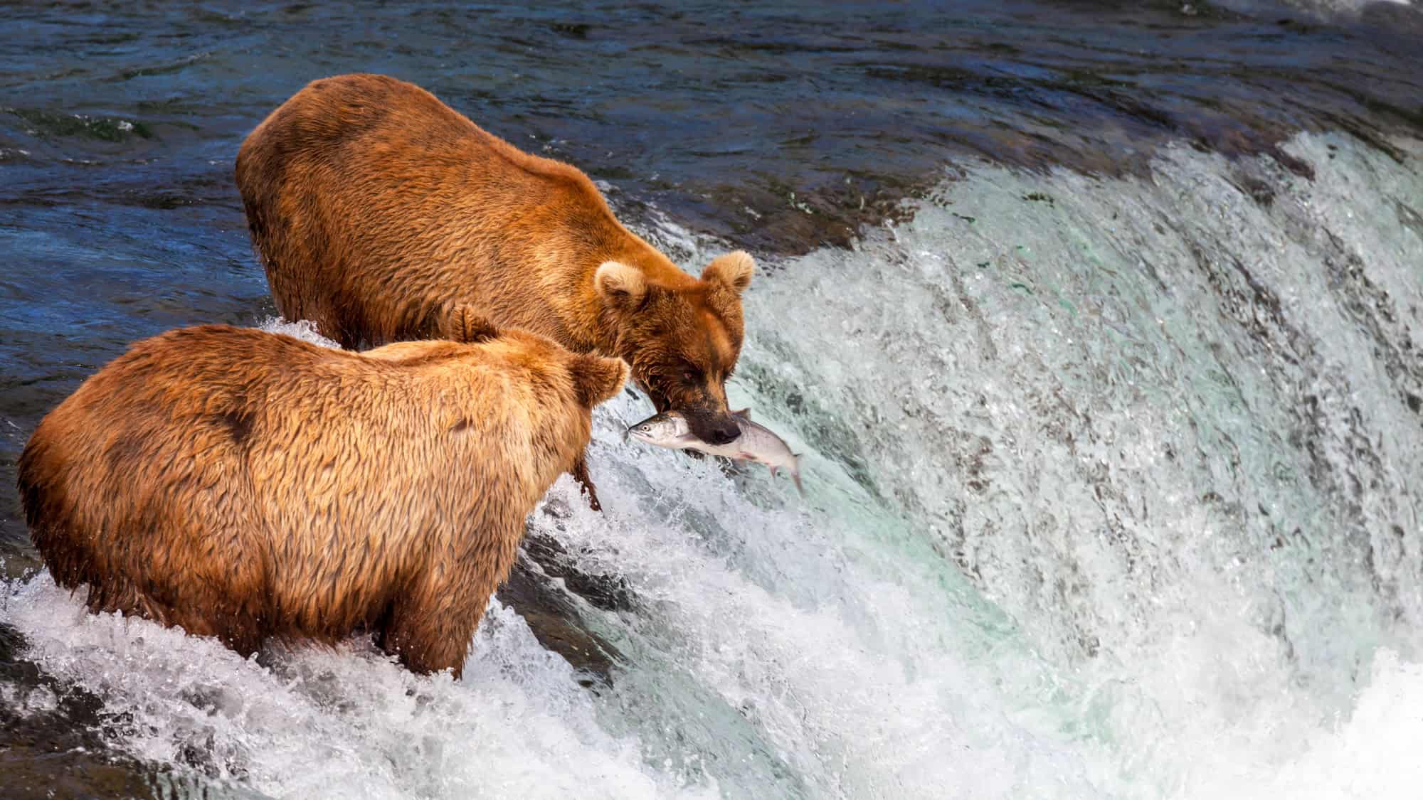 Famous Asian Americans and Pacific Islanders