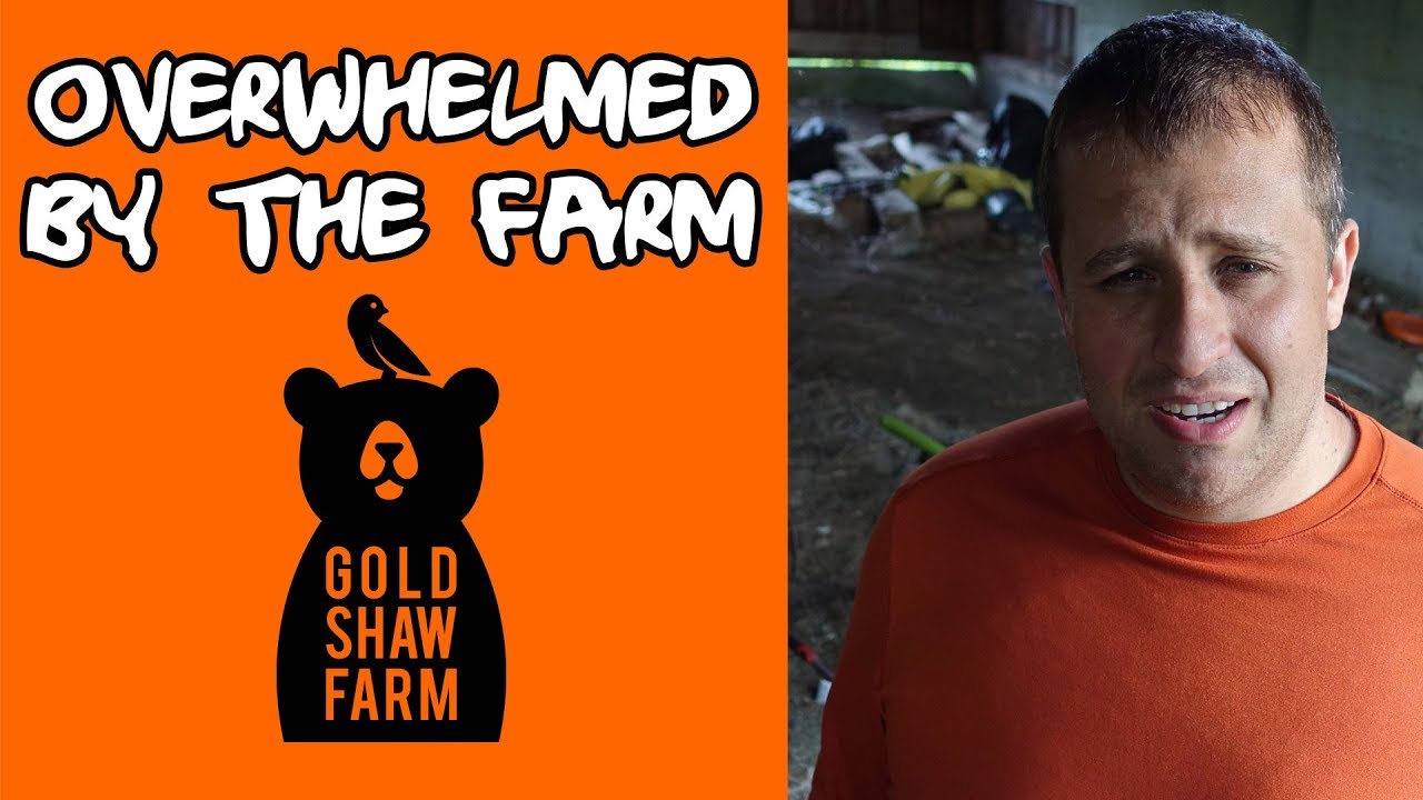 Confessions of a Frustrated Farmer: Life Lessons