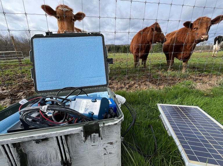 A 4.8 magnitude earthquake rattled NJ on April 5, 2024. What we've ...