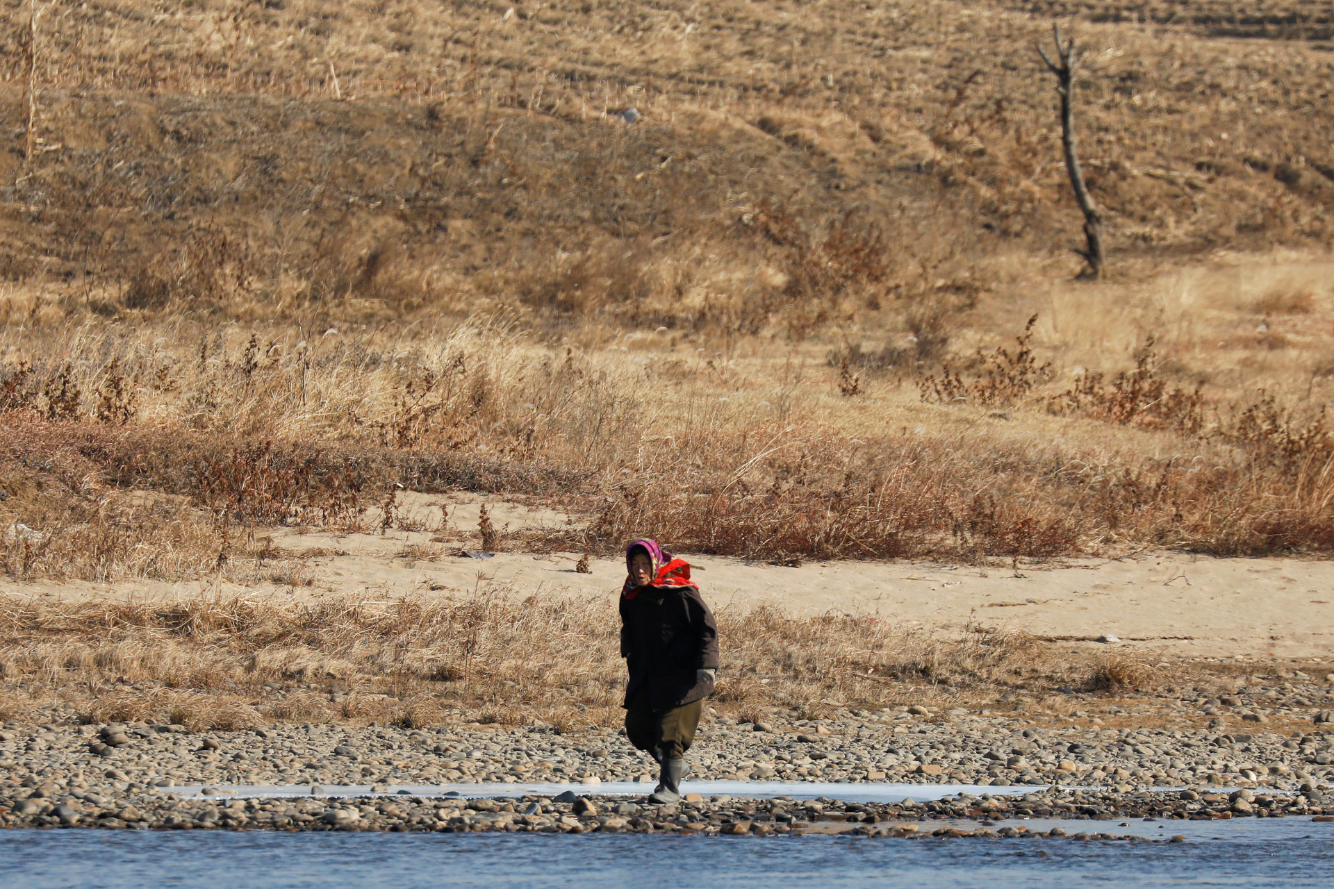 Starbucks cafe offers rare glimpse into North Korean life