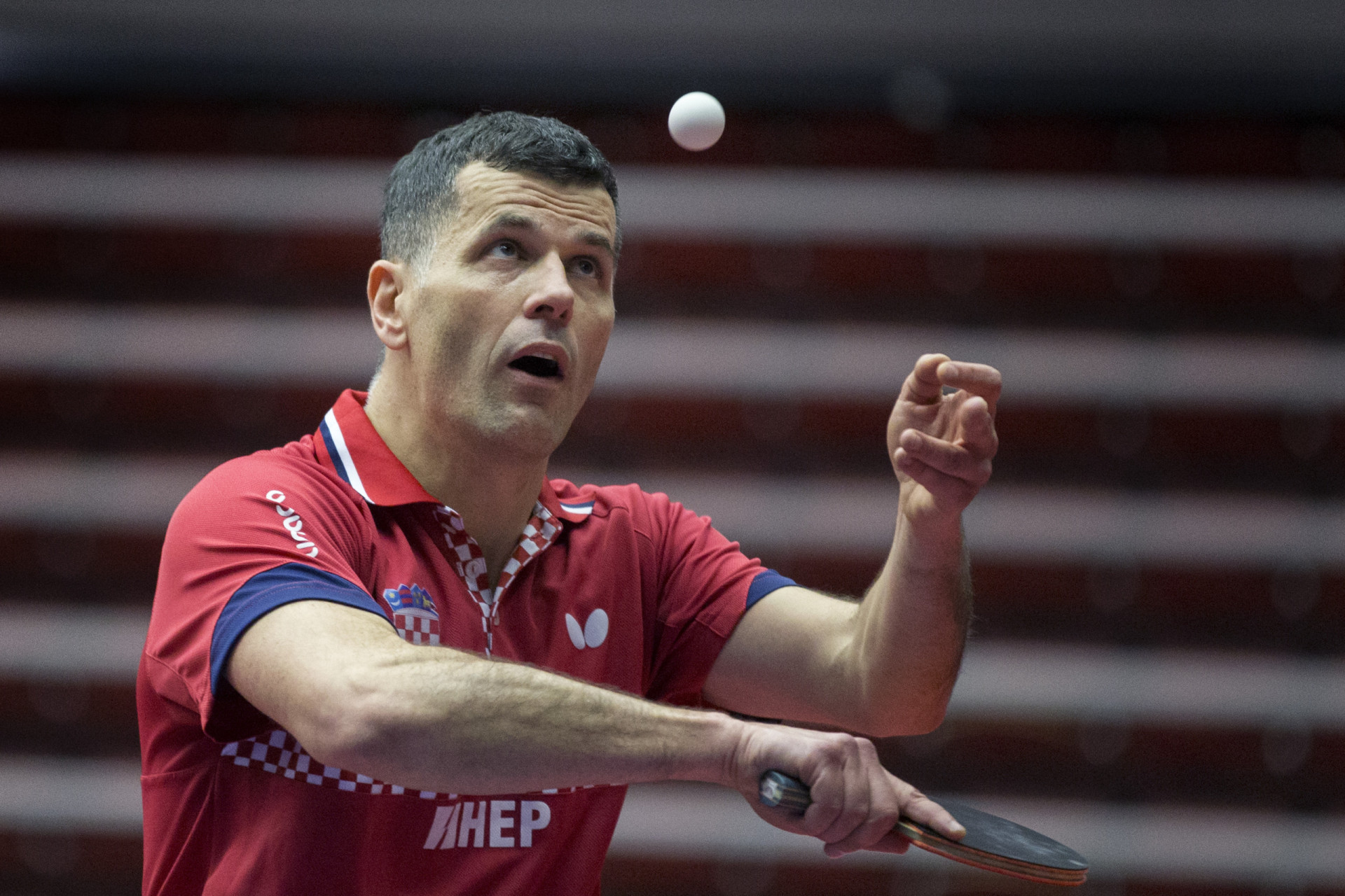 What exactly is Wilson's disease?