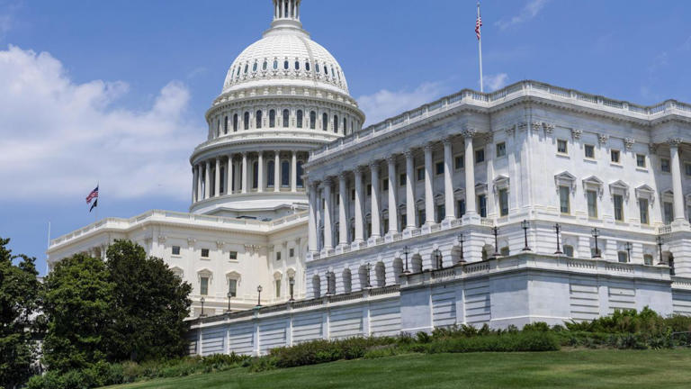 Mint Hill man pleads guilty to assault in Jan. 6 attack on US Capitol