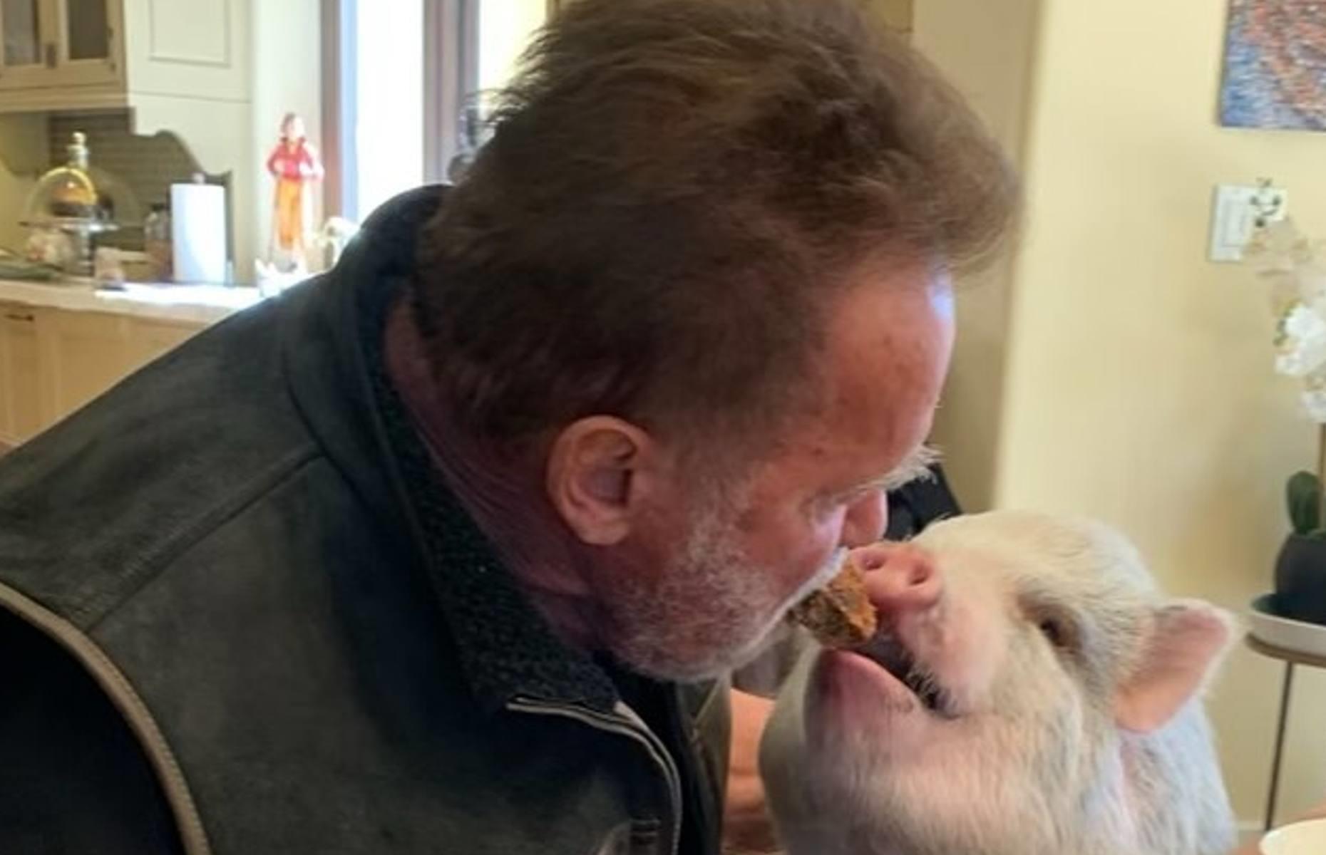 Inside Arnie's amazing life through his homes
