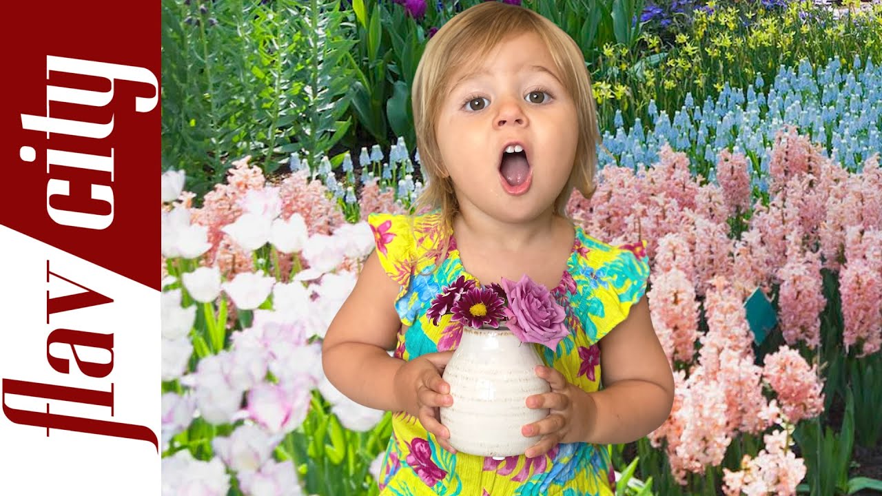 Watch A Toddler Care For House Plants