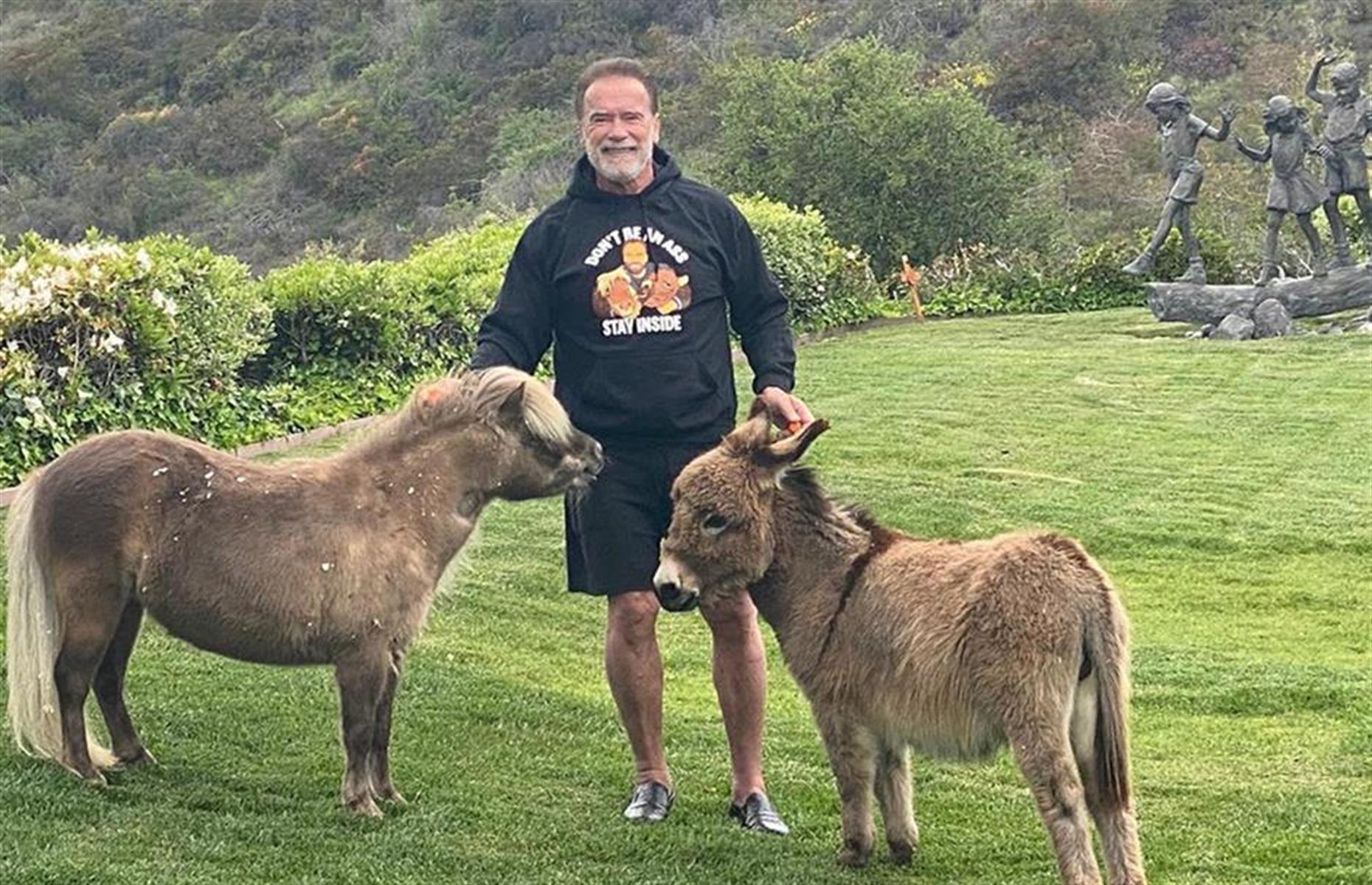 Arnie's homes revealed from Austria to Hollywood stardom