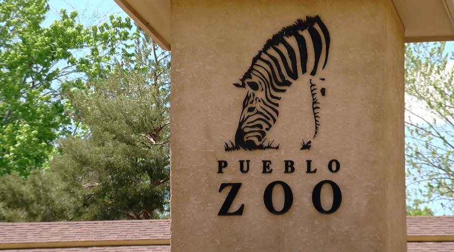 Pueblo Zoo: “We will exhaust our reserves in 3-4 years”