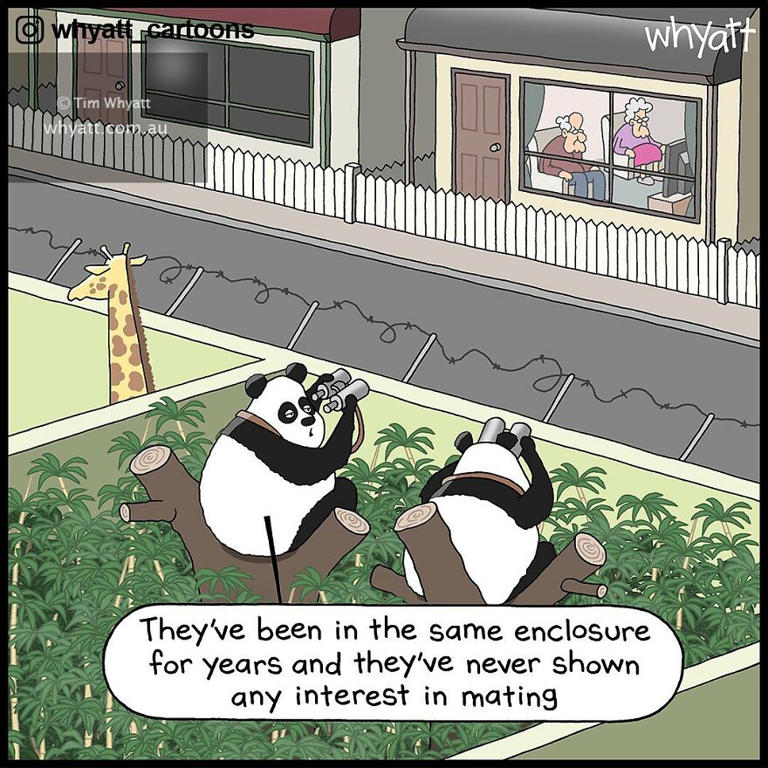 39 Witty And Relatably Funny One-Panel Comics From Whyatt Cartoons