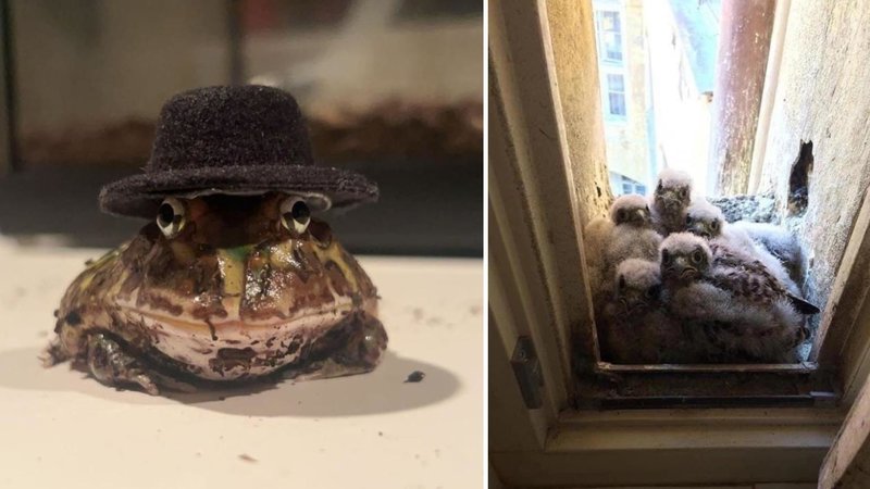 Refresh Your Eyes With 25 Choice Selections