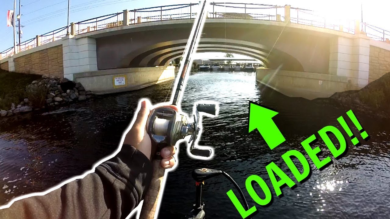 Why Waking Up Early Can Boost Your Fishing Success