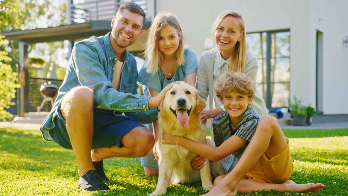 11 Dogs That Thrive In Multi-Pet Homes