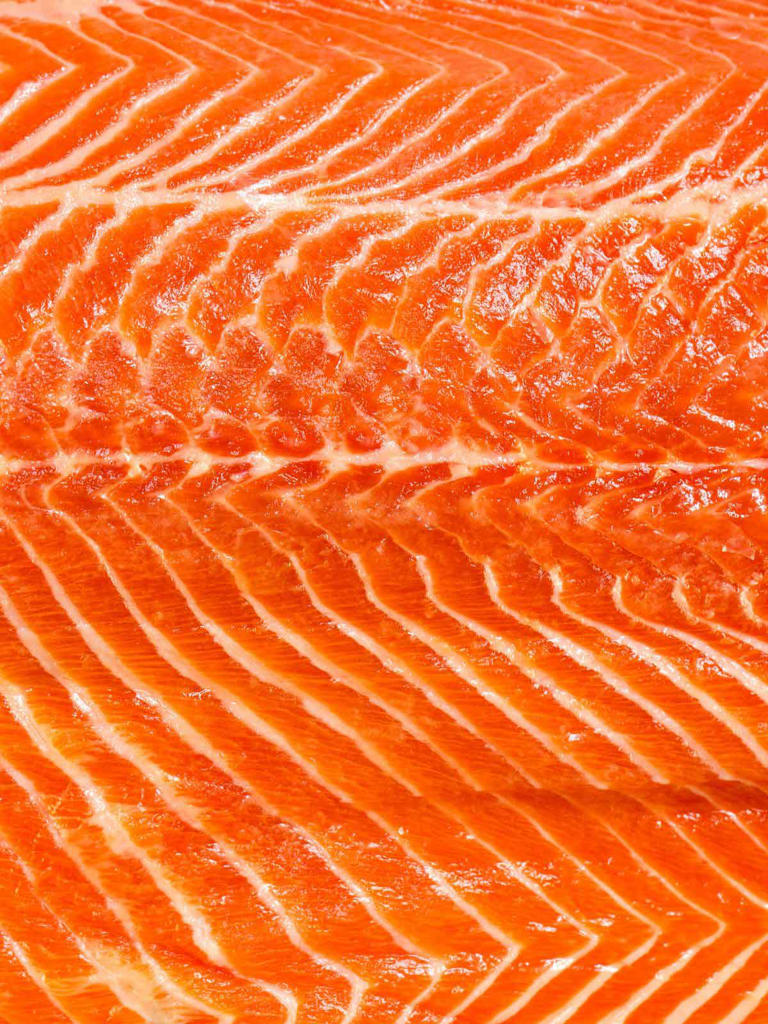 6 Different Types of Salmon (With Pictures)