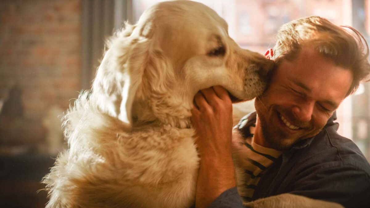 10 Dogs That Changed The Definition Of “Man’s Best Friend”