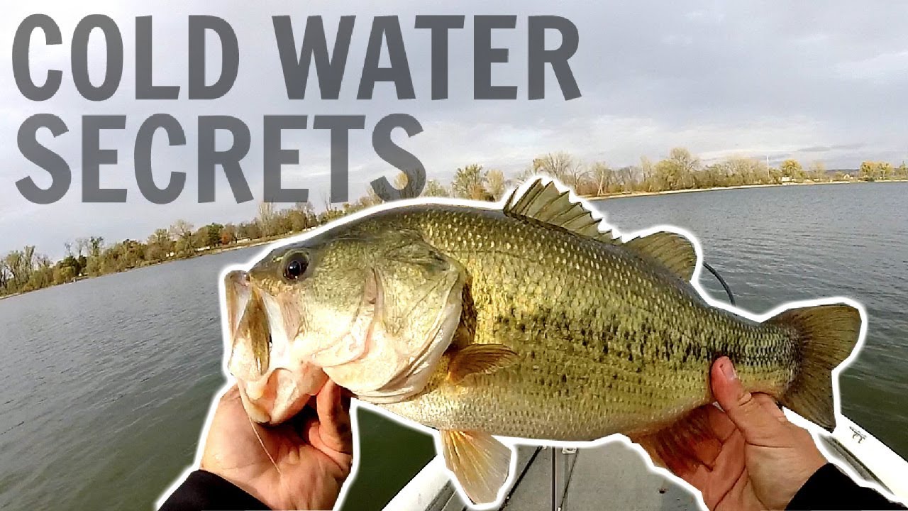 Unlocking Winter Bites: Four Keys to Cold-Water Bass Success