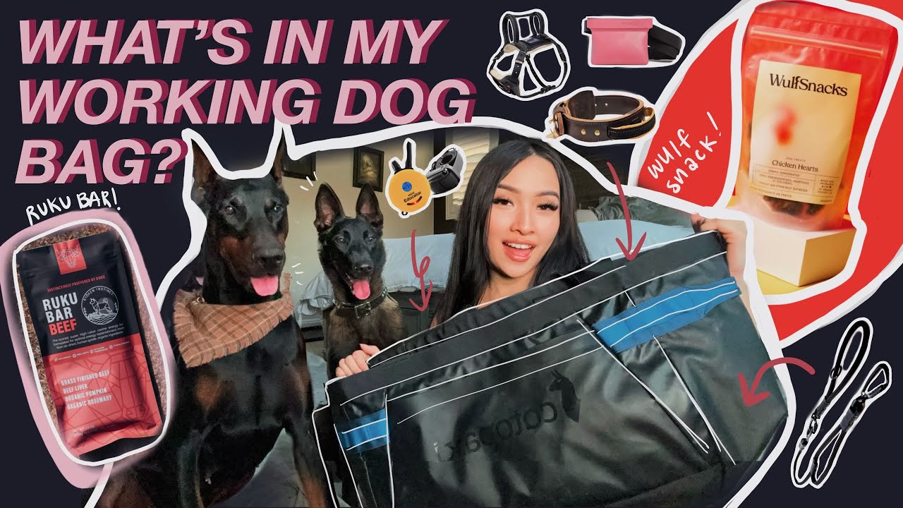 What Every Proud Dog Mom Carries in Her Bag
