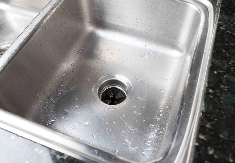 How to clean a smelly garbage disposal the right way