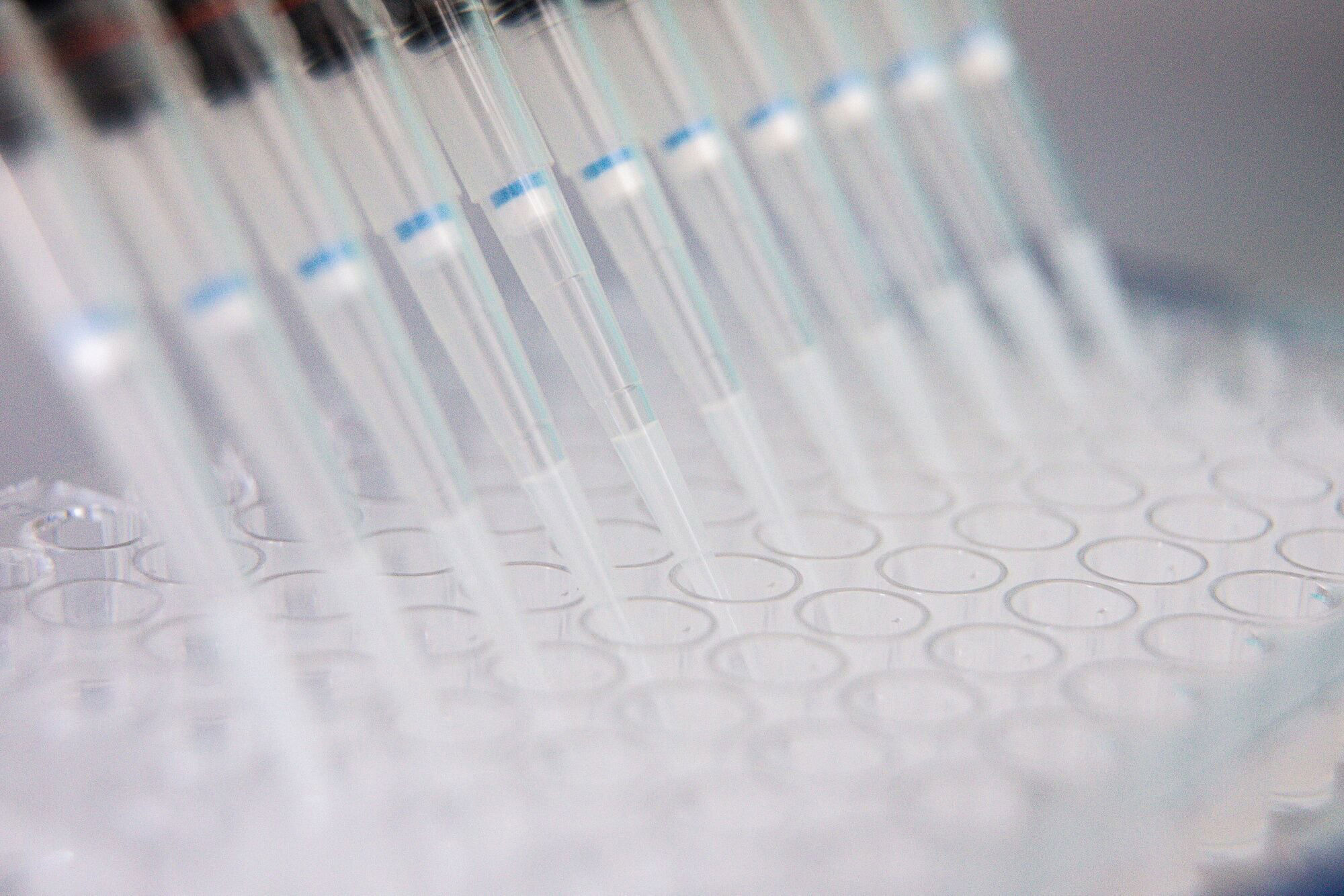 Amid COVID uptick, state suspends respiratory illness reporting until ... Amid COVID uptick, state suspends respiratory illness reporting until ...
