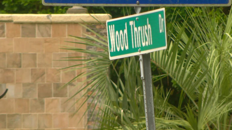 Witness Urges Driver Of Unknown Car To Come Forward After Deadly Horry County Hit And Run 4063