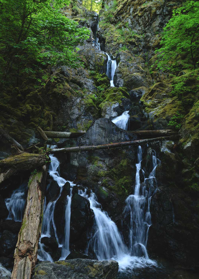 21 BEST Columbia River Gorge Hikes