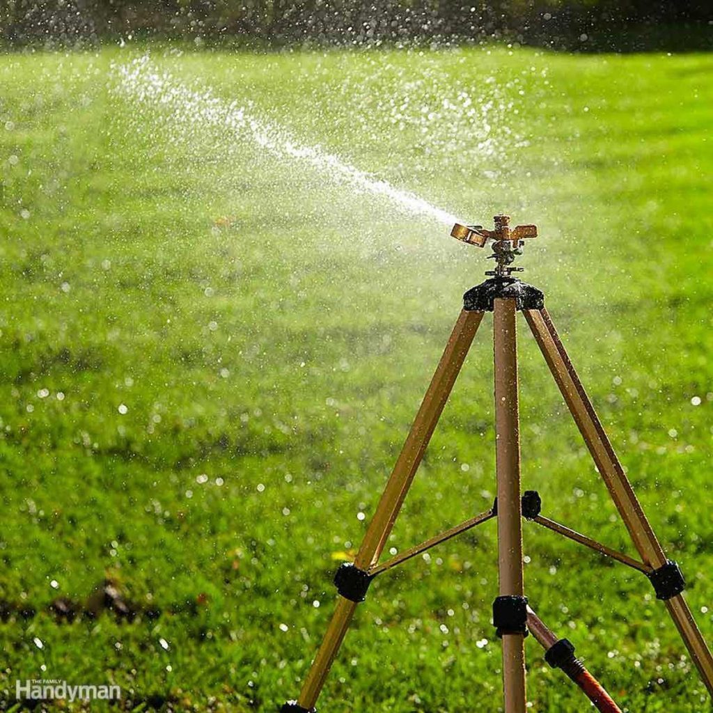 10 lawn care myths you really need to stop believing