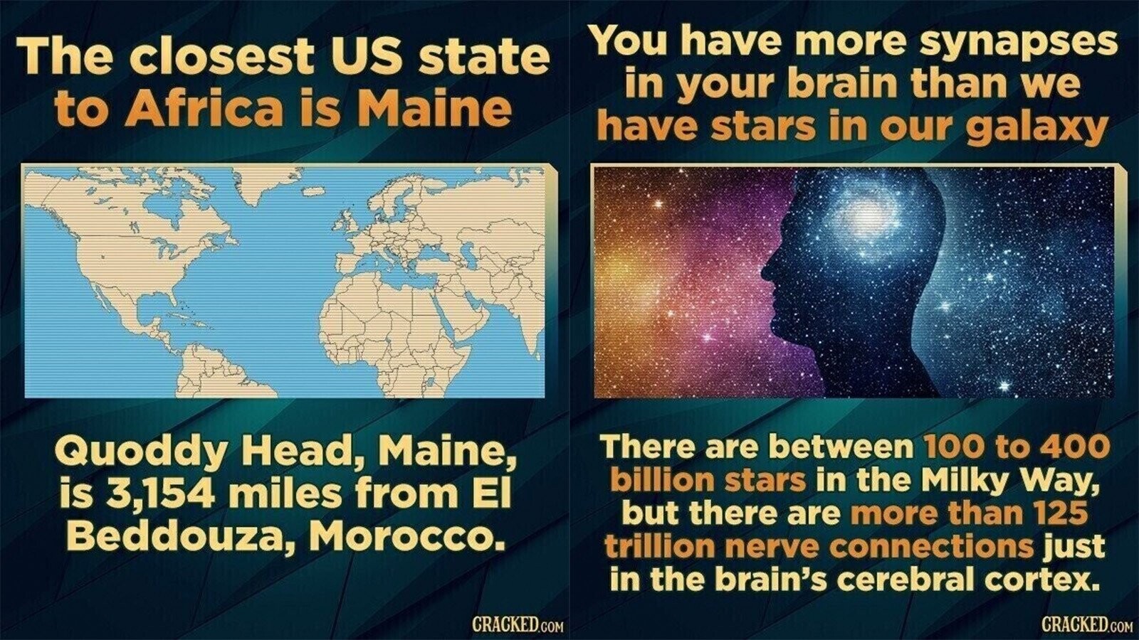 24 Fast Facts and Random Bits of Trivia to Enjoy