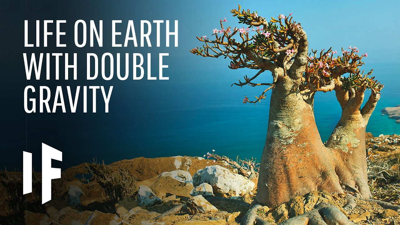 What Happens If Earth’s Gravity Was Stronger?