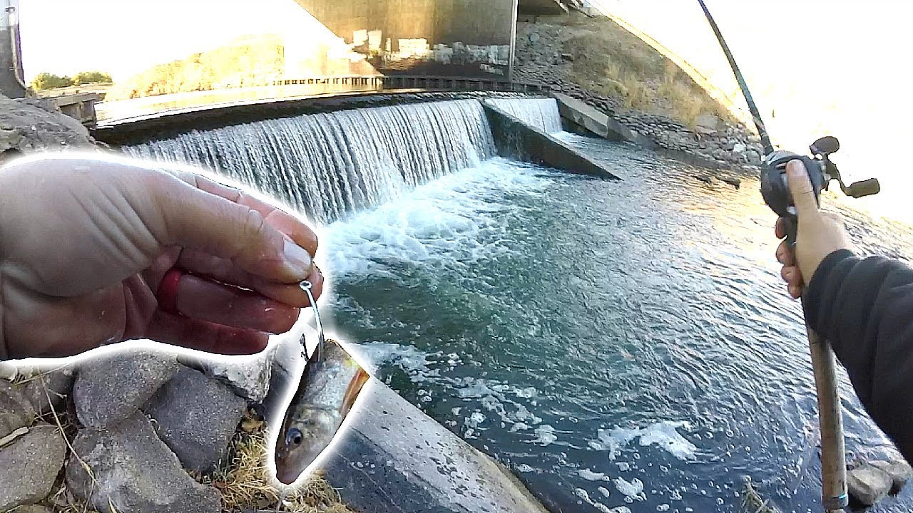 "City Streams, Monster Fish: An Urban Angling Adventure"