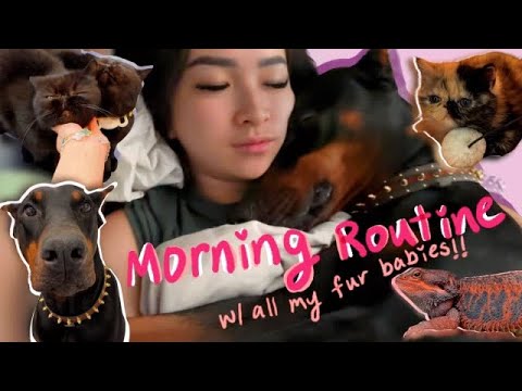 Caring for 15 animals makes for intense morning routines