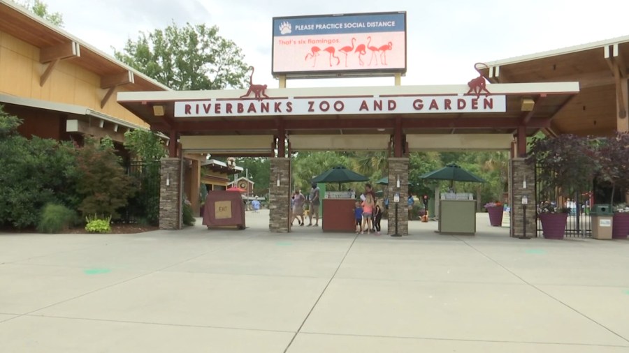 Gondola-style skyride under construction at South Carolina’s largest zoo