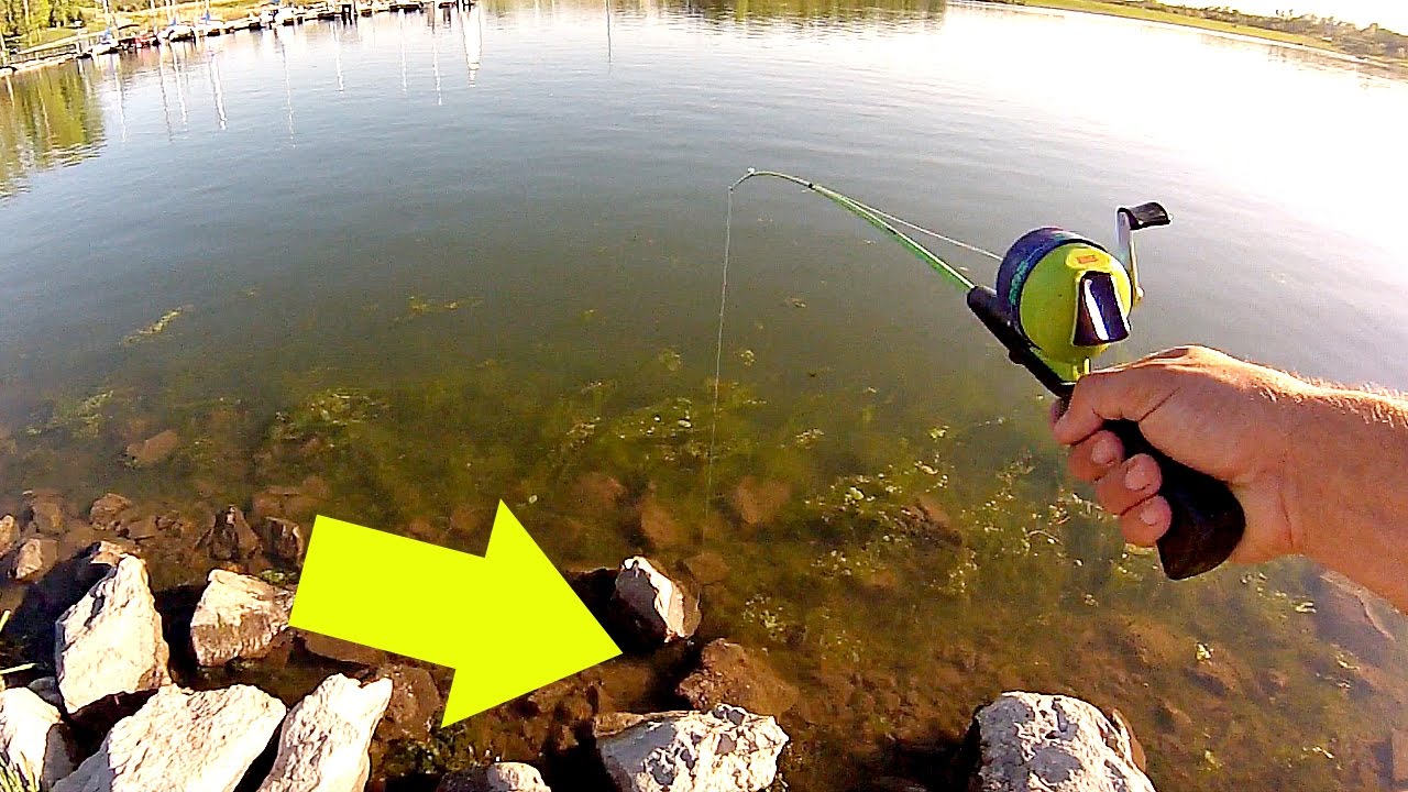 The World Beneath Our Feet: Exploring Micro Habitats for Fish