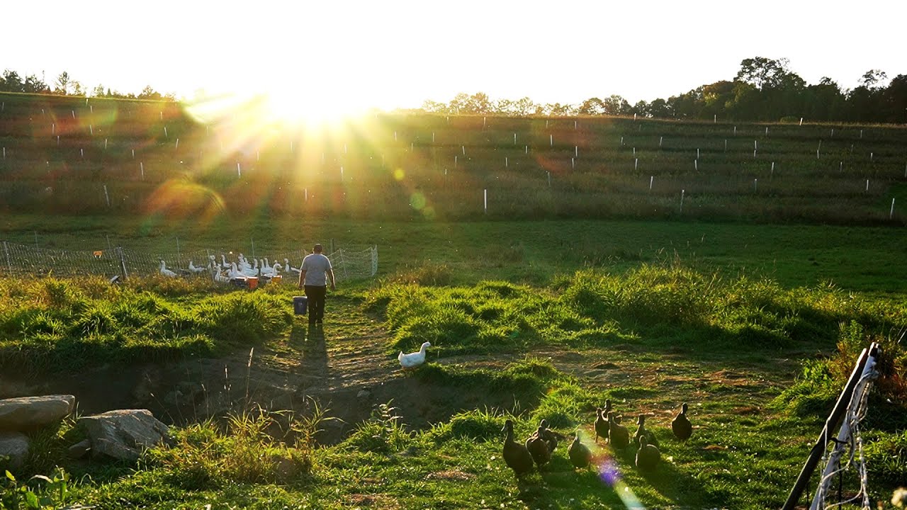 Exploring the Most Magical Town in Vermont for Farms