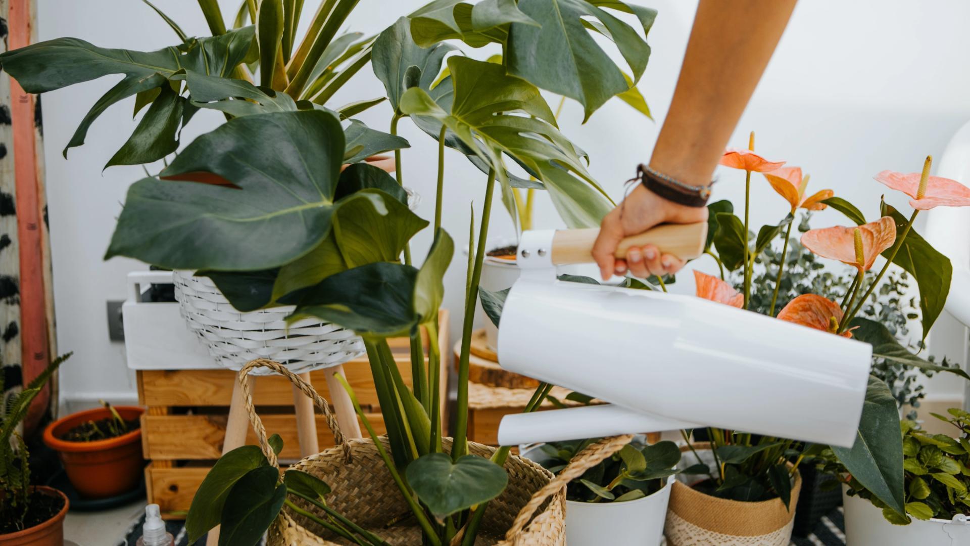 Adiós al 'modo automático': el puttering es la nueva técnica para ...