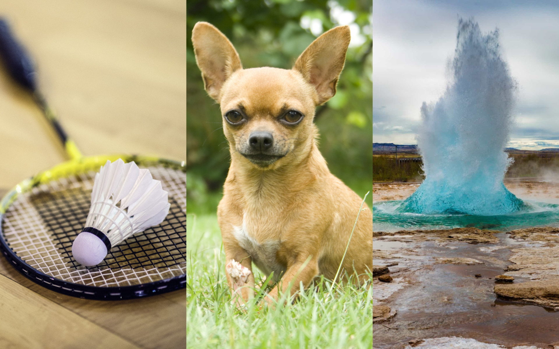 Origine des mots : ces éléments du quotidien tirent leur nom d'un lieu