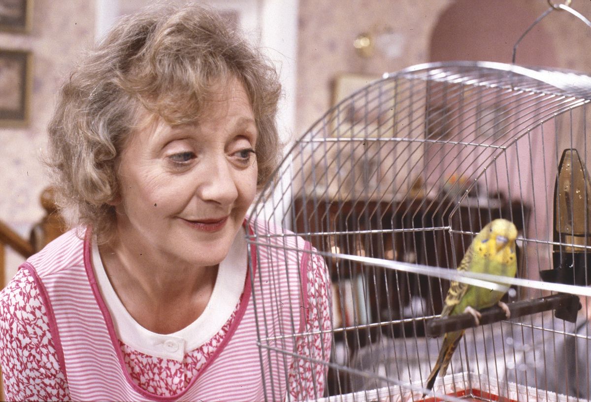 Coronation Street legend comes out of retirement for new project