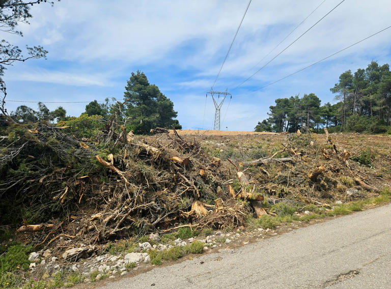 Δήμος Αθηναίων: Υποχρεωτικός ο καθαρισμός των ιδιωτικών οικοπέδων έως ...