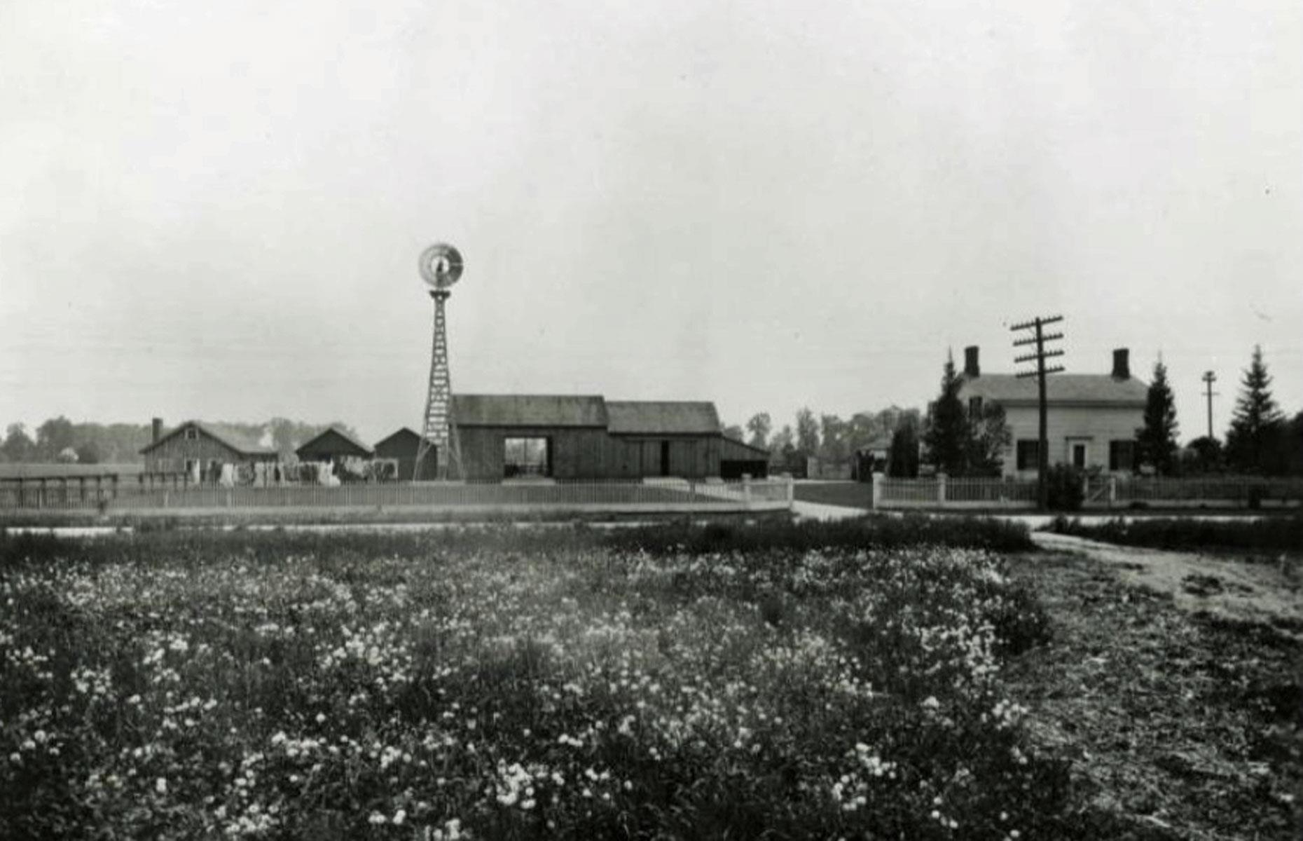 See Henry Ford's extraordinary life from farmhouse to mansions