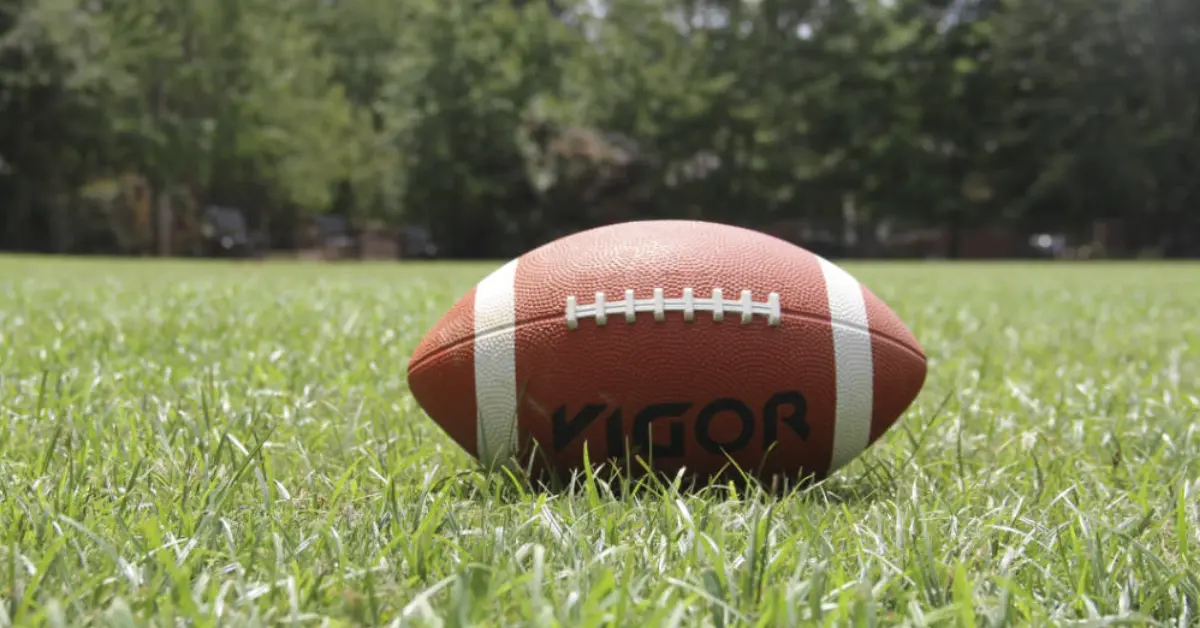 Fox will stream Super Bowl LIX on Tubi for free