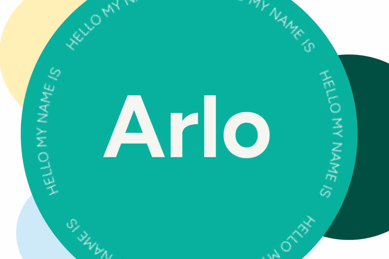 Arlo Name Meaning