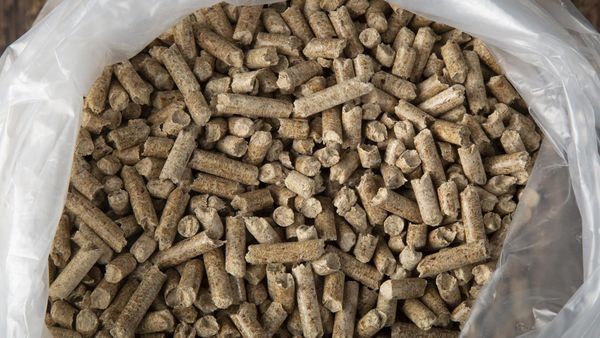 Pelletspreise heute (Freitag, 26. Juni): Das kostet eine Tonne aktuell