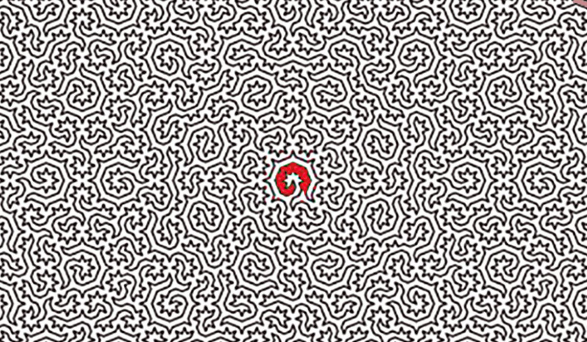 Physicists have designed the world’s trickiest maze – can you solve it? Physicists have designed the world’s trickiest maze – can you solve it?