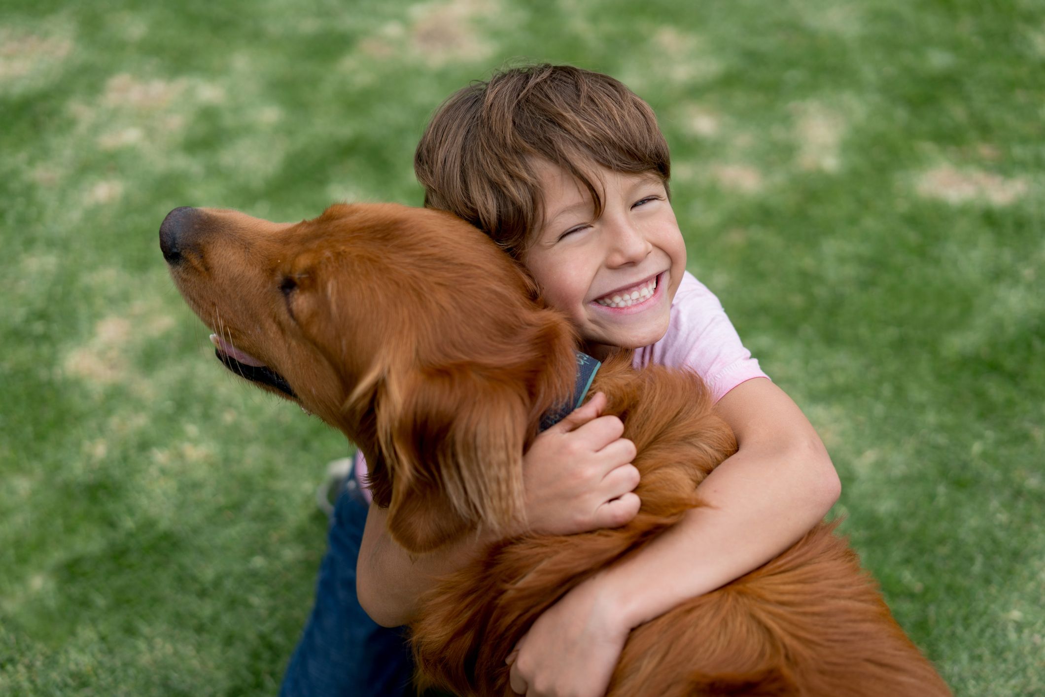 The Top 20 Dog Breeds for Families With Kids