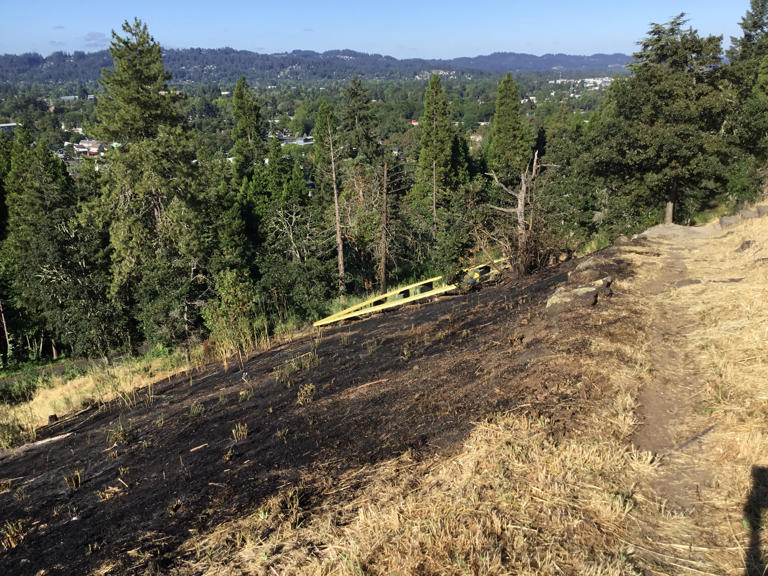 Eugene closes Skinner Butte Summit Parking lot for the summer to reduce ...