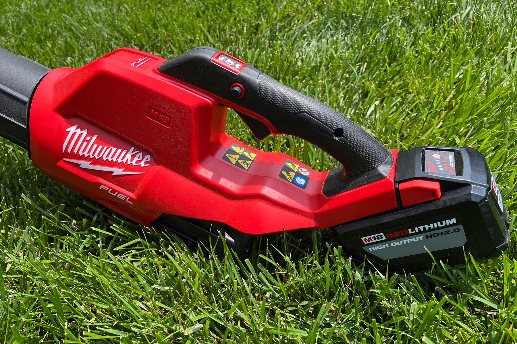 The Best Cordless Leaf Blowers, Tested By a Lawn Expert