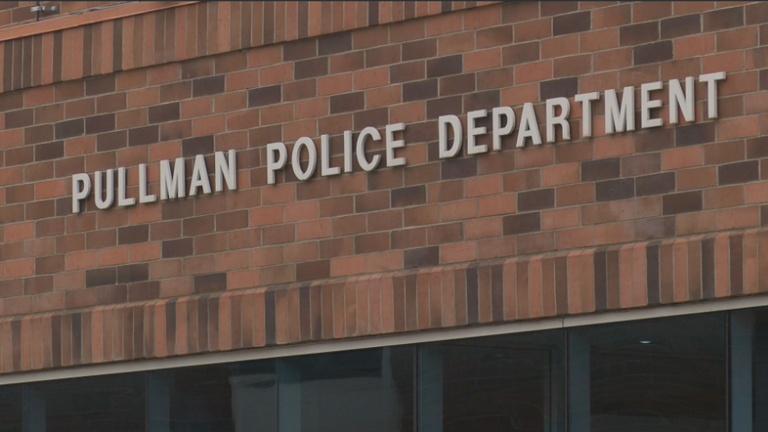 Pullman police arrest rape suspect