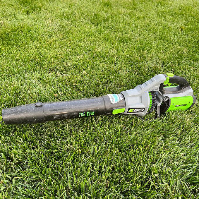 The Best Cordless Leaf Blowers, Tested By a Lawn Expert
