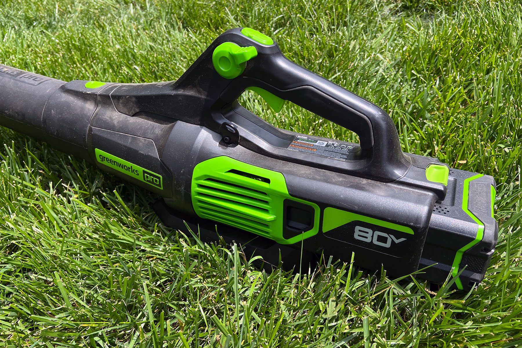 The Best Cordless Leaf Blowers, Tested By a Lawn Expert
